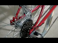 China Road Bicycle 700C Aluminium Alloy Rims Road Saddle Type Gross Weight 19kg For Performance for sale