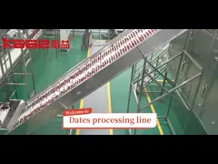 Dates Cleaning Washing Drying Grading Production Line With Dates Processing Fractory