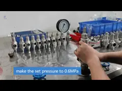 Cryogenic Full Lift Safety Valve With Elbow DN10-40mm