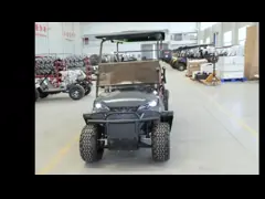 360° View of 6 seater golf cart