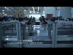 Aluminum Foil Container Production Line