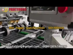 PRY-Q1200 Double Lines Erecting Hamburger Box Forming Machine with Full Servo Motor