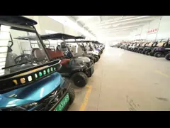 Golf Cart Various Model available