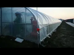 poly tunnel greenhouse