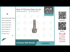 L286PBD Delphi Common Rail Nozzle For Injectors EJBR05601D
