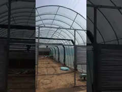 blackout greenhouse
