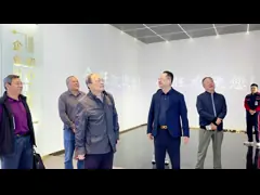 Introduzione della società
