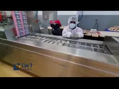 Fish segment stretch film vacuum packaging machine