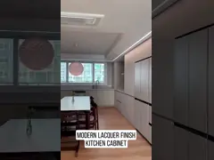 Modern lacquer finish kitchen cabinet
