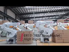 ER15-1400 Algemene industriële robots in de algemene industrie poleren