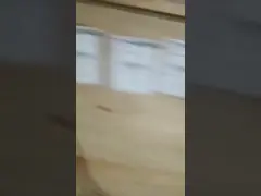 Video description