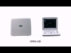 China FSC 3D 4D MSK Portable Ultrasound Machines Scan Trans Vigianl for sale