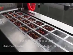 Meat vacuum packaging machine
