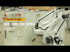 ER15-4-1600 Robots para paletización para cajas de bolsas en la industria general