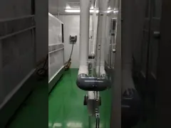 Servo Control Soft Capsule Machine