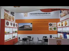 sunflower seeds manufacturer