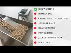 液体卵加工工場 破裂と分離 パスタライザー詰め機械