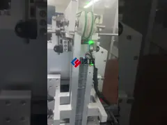 Suzhou Lingyao Pharmaceutical Packing Machine for Pills Blister Package