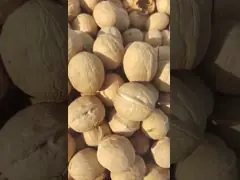 China Lowest Price Wholesale Factory Price Xinjiang Xingfu Washed and Unwashed walnuts for sale