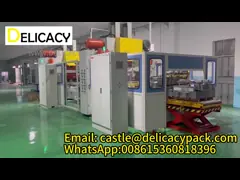 Delicacy Brand fully automated 2-piece can production line