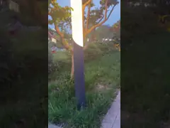 ✅ Light Up The Park! Light Up the Lawn, Light Up a Life.