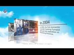 History of the company