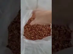 China Wenyao WYCS1-64 1 Chute Easy Operate Optical Sorter for Dhydrated Vegetables Dried Onion Flakes Potatoes Flakes Sorting Machine for sale