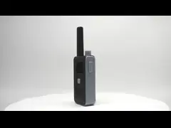 China LED Display Real Channels Walkie Talkie Toy D27 Ctcss 99 Free License With 0.5W Outpower for sale