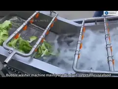 China Air Bubble Food Cleaning Machine For Banana Fruit Washing 6kw 380v for sale