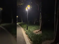 Wow！What a classical garden lamp, light up your night！