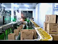 China Stainless Steel Construction Bag Conveyor Systems , Bag Handling Conveyor 220V 50HZ for sale