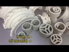 Ceramic Random Packing Pall Packing Ring For Adsorption Column