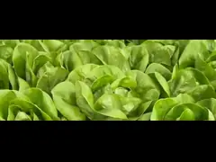 Greenhouse Kits