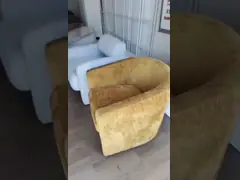 Living room lazy sofa  chair