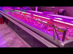 China Restaurant Commercial Deli Display Case / Fresh Meat Display Chiller With Dynamic Cooling for sale