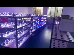 Factory Full Color Programmable DC5V WS2811  RGB Pixel Light String Waterproof IP68 9mm 12mm Led String