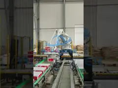 China Carbon Steel Automatic Bag Palletizer Machine 4 axis 6 axis For Heavy Duty Bagging for sale