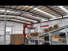 Container Truck Automatic Box Loader Posizionamento intelligente ed accurato 500-1200 casse/ora