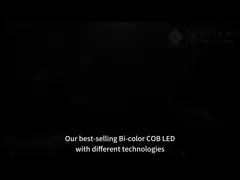 Serie di chip LED COB a due colori