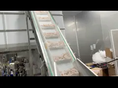 China Fully Auto Mechanical Multi-function Frozen French Fries Fish Fillets Cod Salmon Bag Block Vertical Packaging Machines for sale