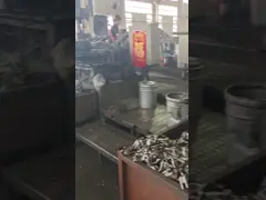 Scaffolding Double Couplers BS1139