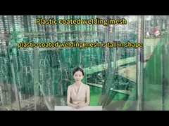 PVC Welded Wire Mesh