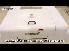DTF Garment Printer 30cm 2pc i3200