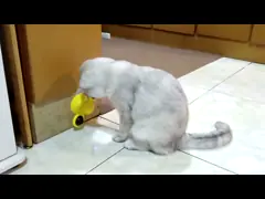 Whirlwind Cat Toy