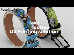 Baosiwei Leather UV Printing Solution