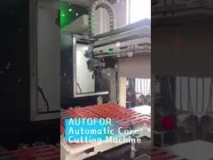 Automatic cutting machine
