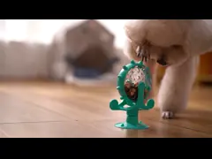Slow Feeding Interactive Spinner Cat Toy