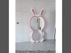 floor mirror