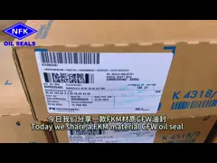 Standard Rotary Shaft Oil Seal CFW 418727 For Rexroth A4VS0125  A4VS180  Pump Repair Kits