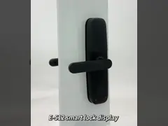 China OEM E-512 Tuya Password Biometric Electronic Fingerprint Wifi Door Smart Digital Door Lock for sale